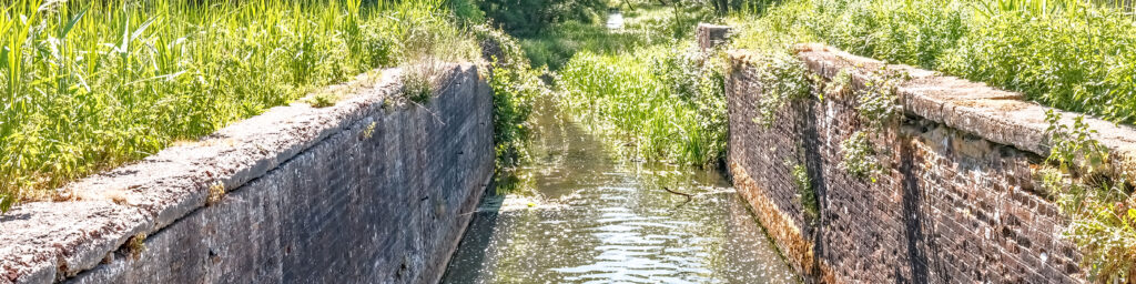 T1B Flo Tab: Bioremediation of nallas and drains