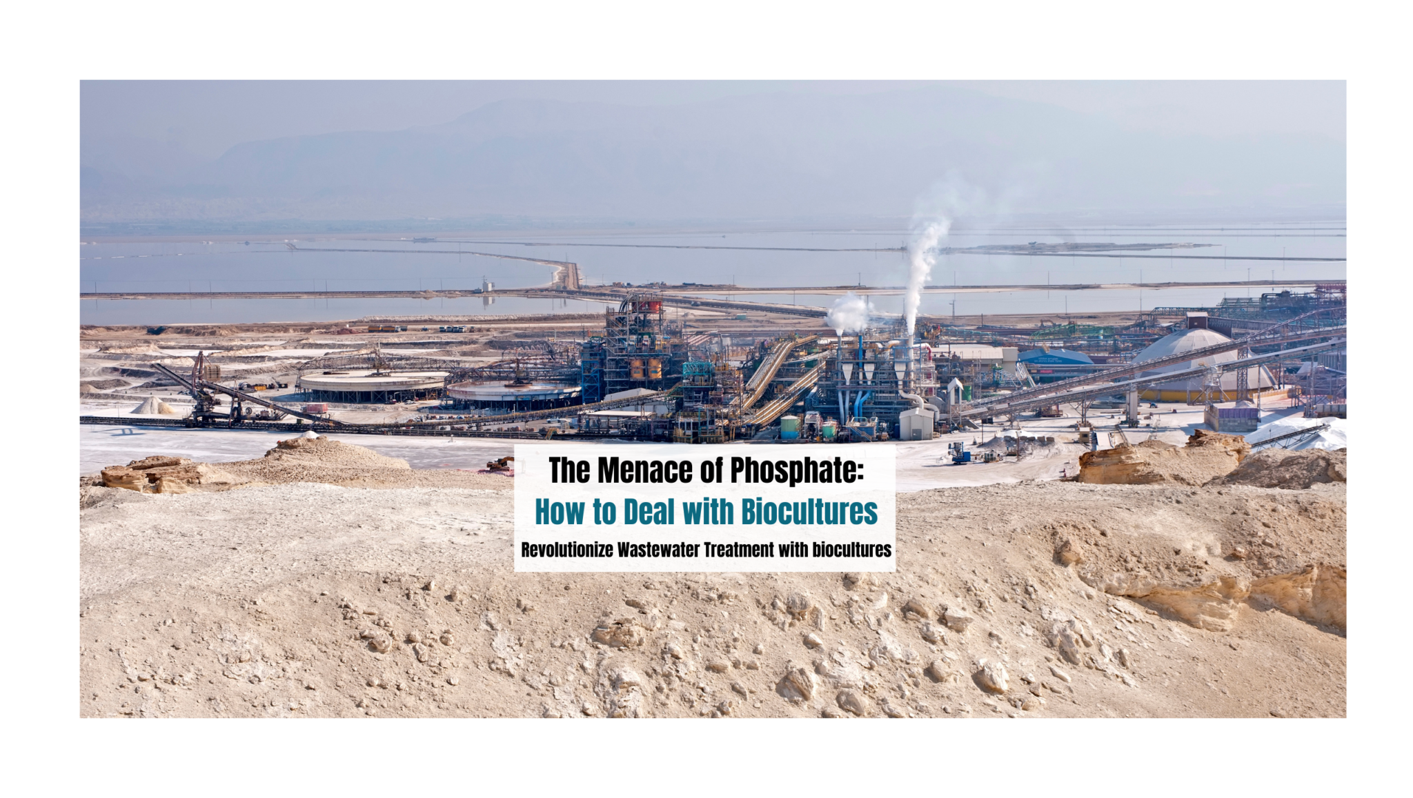 Phosphate Removal: How Biocultures Help Tackle the Menace